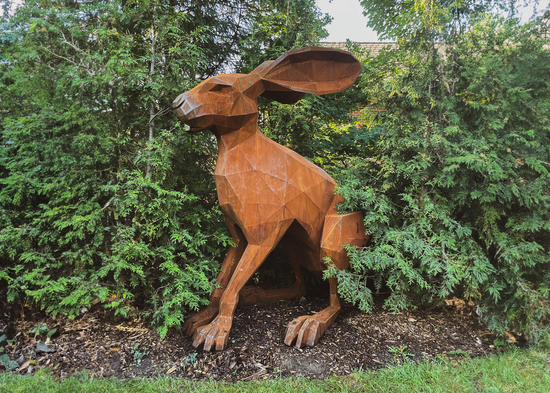 Jack Rabbit – Dale Rogers Studio