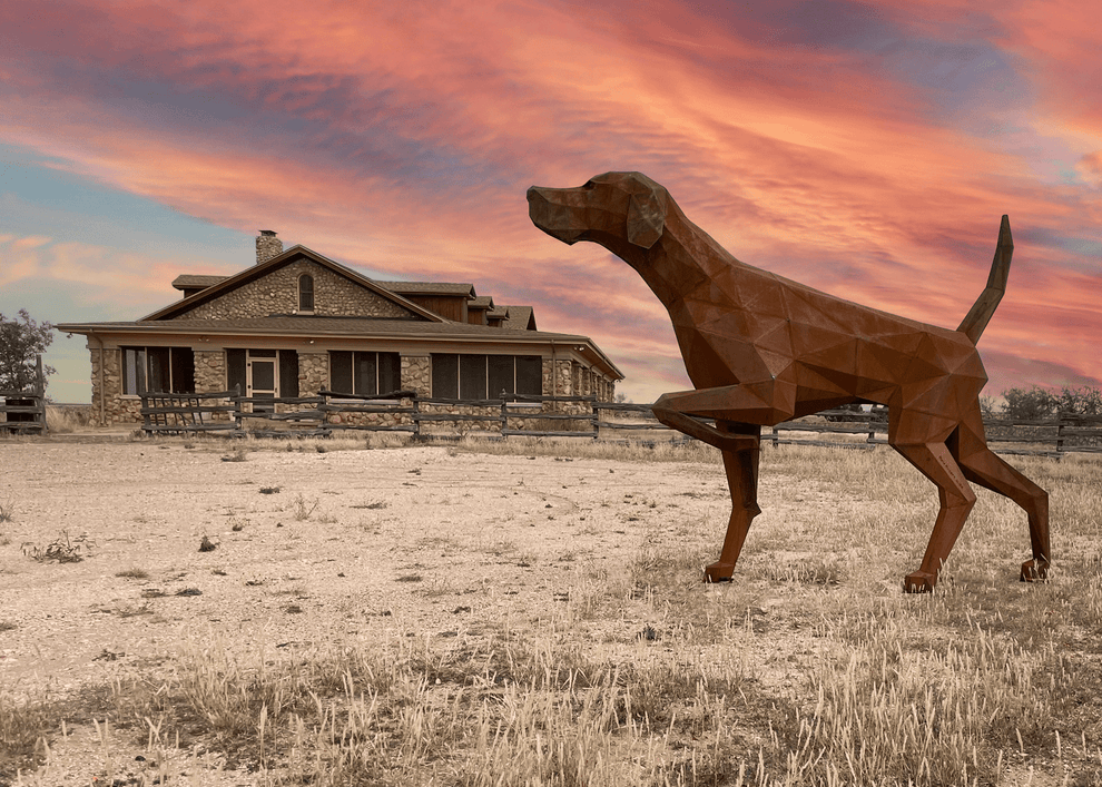 Pointer – Dale Rogers Studio